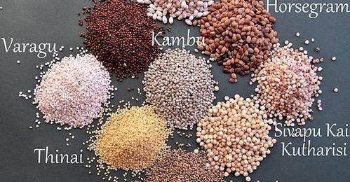 Introduction to MILLETS : Pictures and Names of various Millets ...